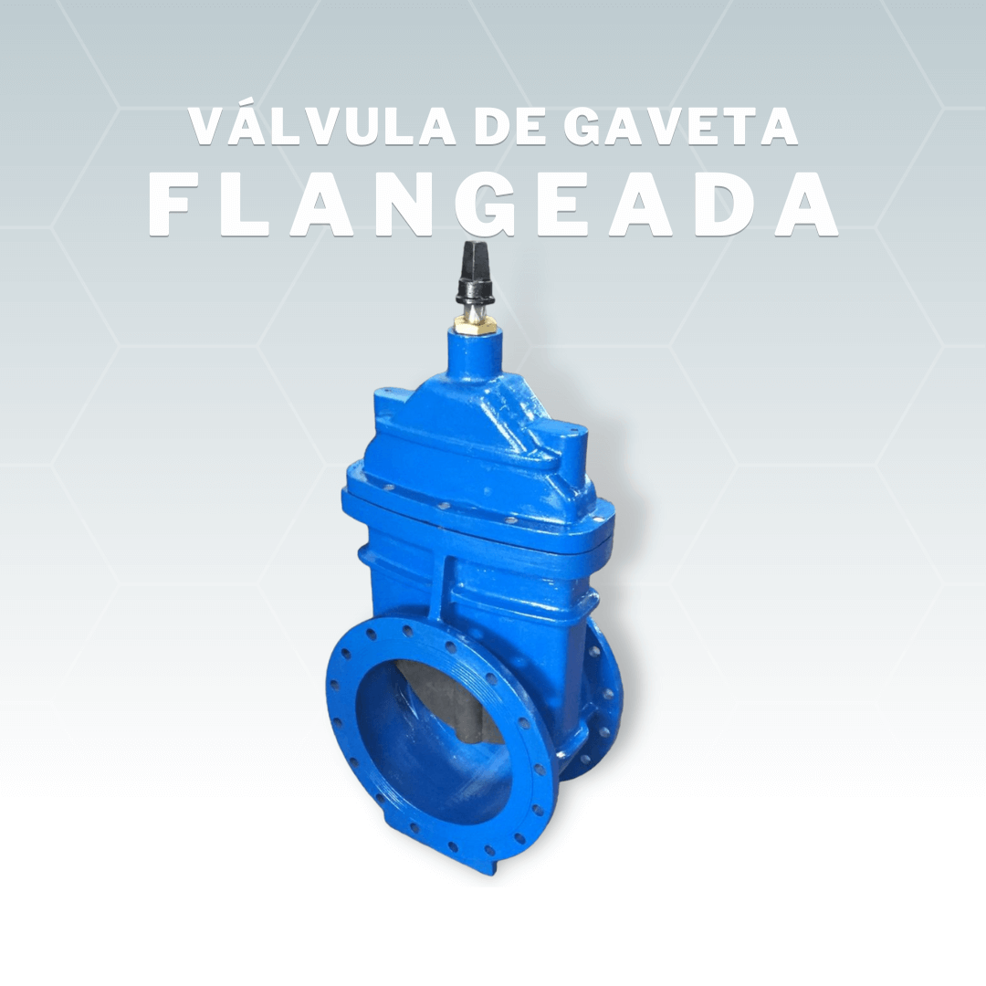 Válvula Gaveta Flangeada - DTS